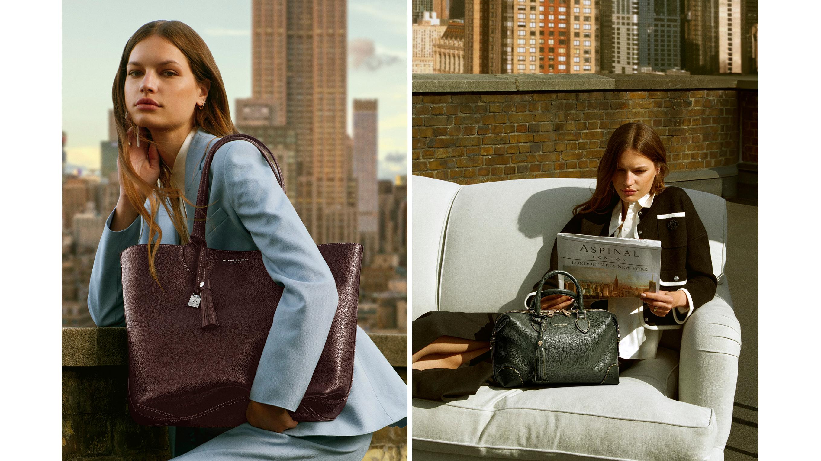 Introducing The Hudson Collection | Aspinal of London