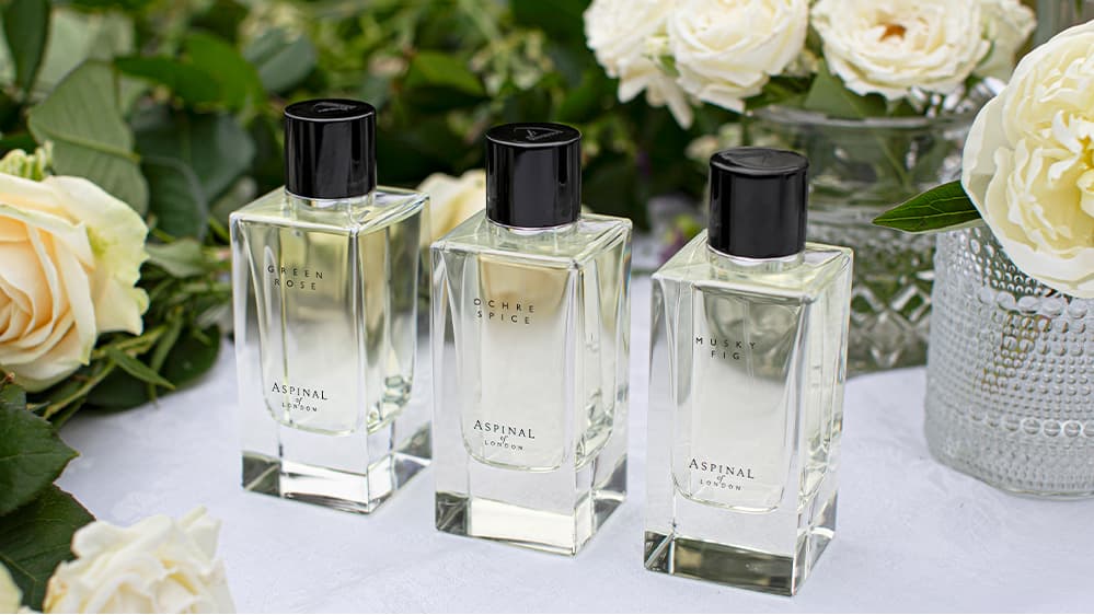 Aspinal of London | The Como Collection